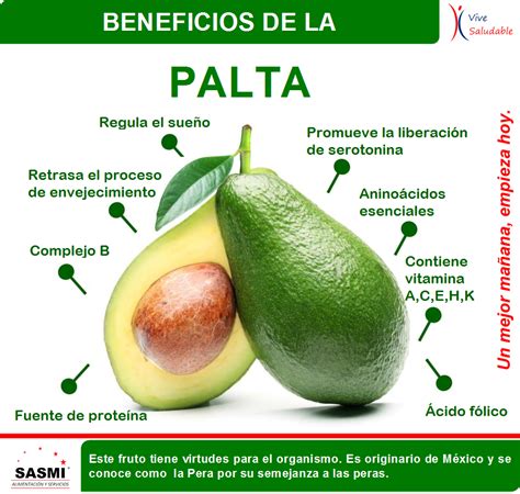Descubre el Poder de la Palta: Valor Nutricional Increíble y Beneficios ...