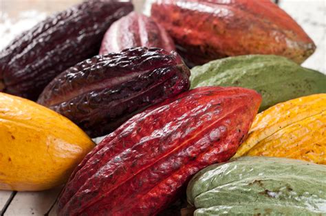 Descubre La Dieta de los Aztecas: Alimentos Milenarios y Su Increíble ...