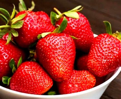 Dieta de la Frutilla: Descubre sus Increíbles Beneficios y los Riesgos ...