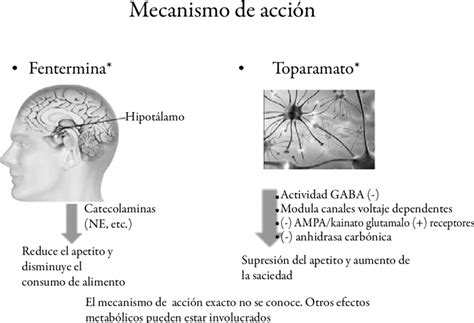Sentis para Bajar de Peso: Descubre Sus Contraindicaciones y Efectos ...