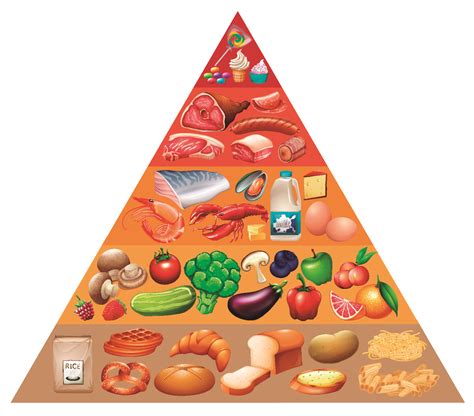 Descubre la Pirámide Alimenticia: Tu Guía Definitiva para una Nutrición ...