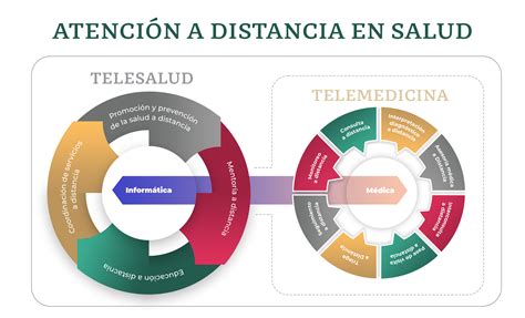 Descubre Sentis para Bajar de Peso: Guía Completa y Consulta por ...