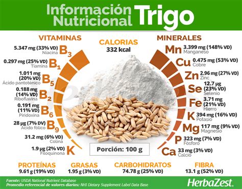 Trigo Mote Cocido: Descubre sus Increíbles Beneficios y Valor ...