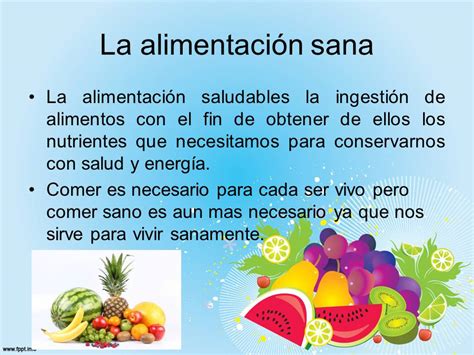 Descubre la Definición de Alimentación Saludable Según la OMS y ...