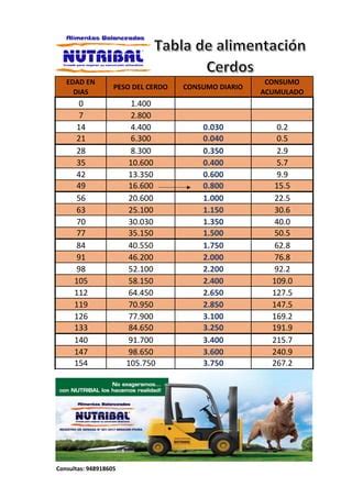 Descubre la Tabla Definitiva de Alimentación para Cerdos en Engorde y Maximiza su Crecimiento ...